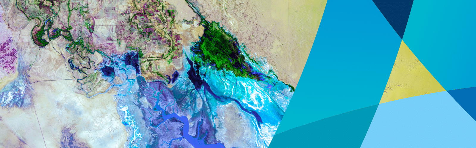 Case Study - IgG Detection - Delta Life Science